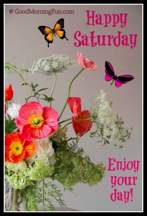 Funny Saturday Quotes and Sayings for Facebook - Good Morning Fun