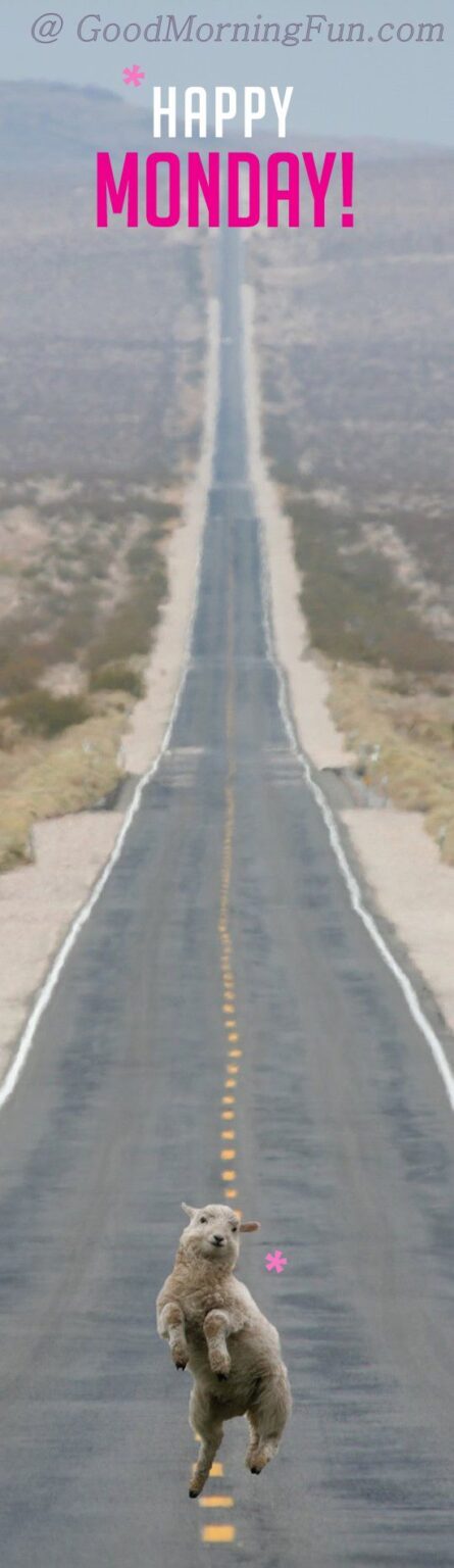 50 Best Monday Quotes & Wishes with Pictures - Good Morning Fun