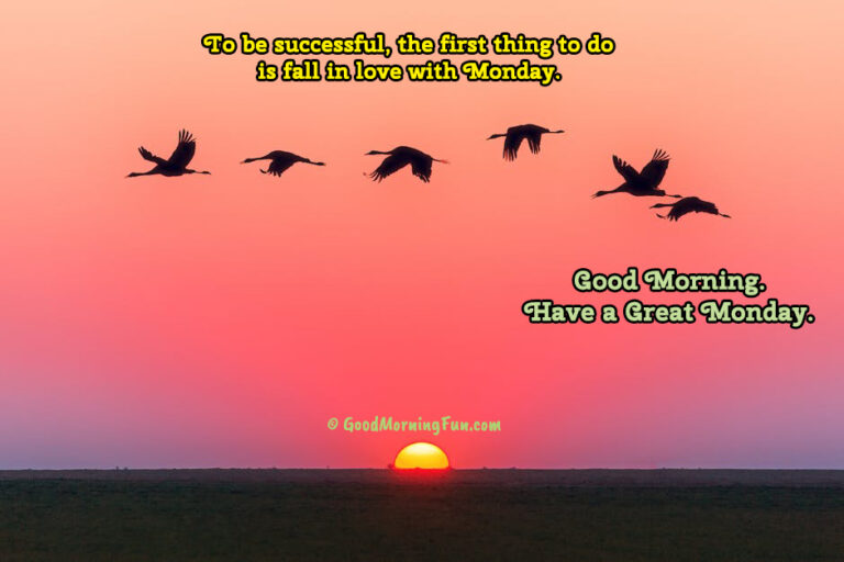 50 Best Monday Quotes & Wishes with Pictures - Good Morning Fun