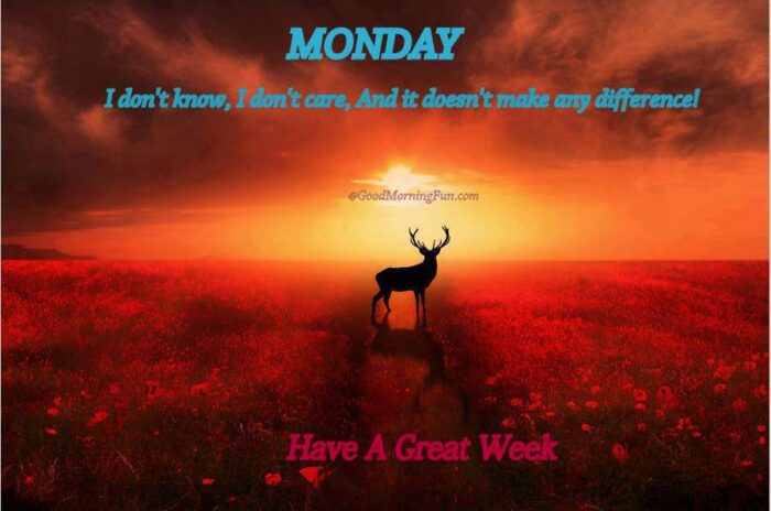 50 Best Monday Quotes & Wishes with Pictures - Good Morning Fun
