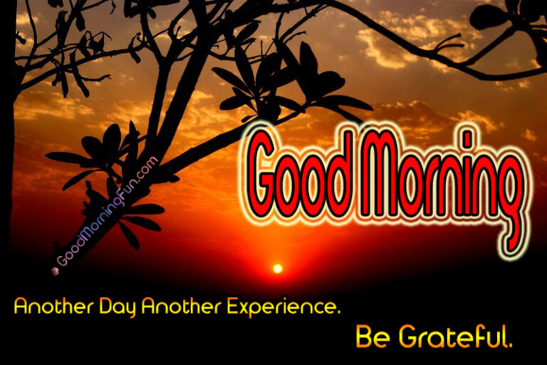 Good Morning - Another day another experience. Be grateful. - Good ...