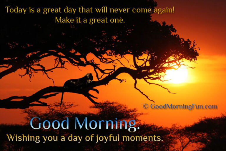 Good Morning Quotes About Joy. Wishing you a day of Joyful moments ...