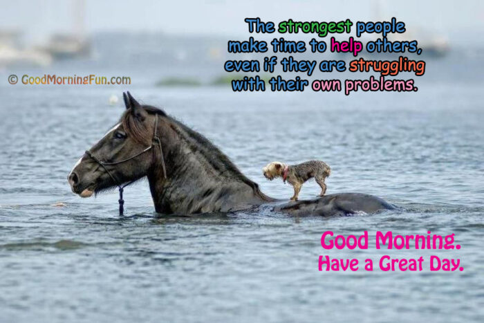 Good Morning Wishes & Images - Good Morning Fun