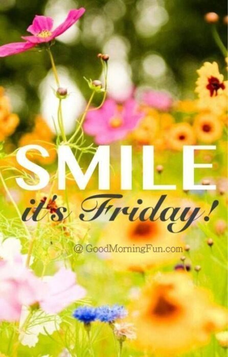 100 Motivational Good Morning Friday Quotes & Wishes