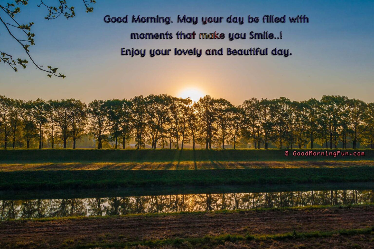 50 Good Morning Quotes on Smile - Smile and be Grateful for all the ...