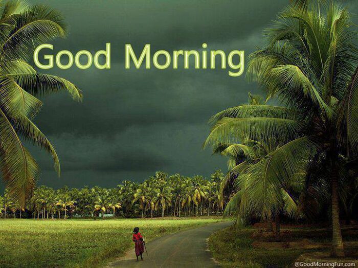 Free Good Morning Images HD to Download - Good Morning Fun