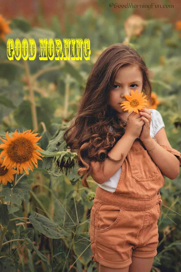Good Morning Flowers - Good Morning Fun