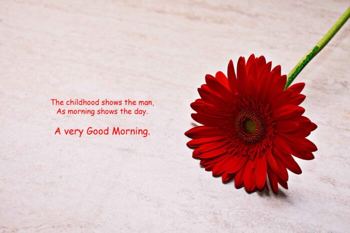 Good Morning Flowers - Good Morning Fun