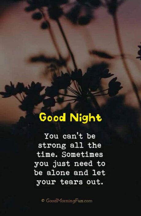 Inspirational Good Night Quotes - Good Morning Fun