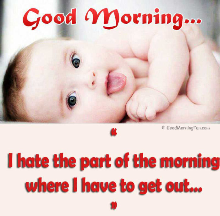 100 Funny Good Morning Pictures, Hilarious Memes - Good Morning Fun