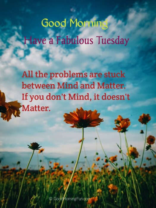 Tuesday Motivation Quotes - Good Morning Fun