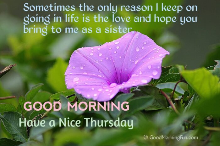 Good Morning Thursday Images - Good Morning Fun