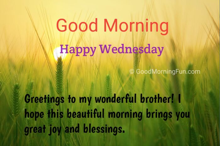 Wednesday Motivation Quotes - Good Morning Fun