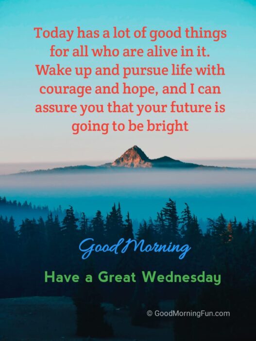 Wednesday Motivation Quotes - Good Morning Fun