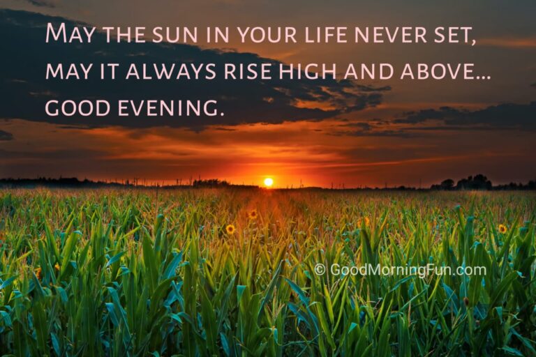 Cute Good Evening Quotes With HD Images Greetings - Good Morning Fun