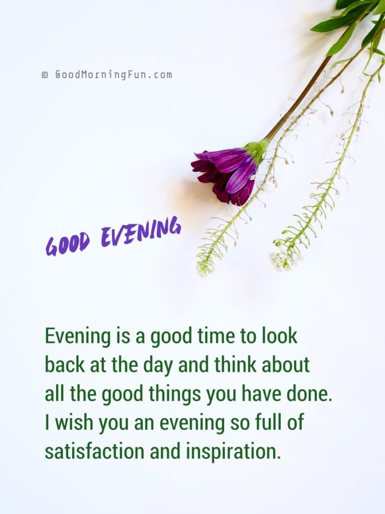 Cute Good Evening Quotes With HD Images Greetings - Good Morning Fun