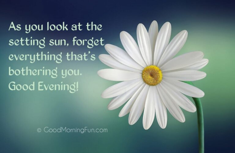 Cute Good Evening Quotes With HD Images Greetings - Good Morning Fun